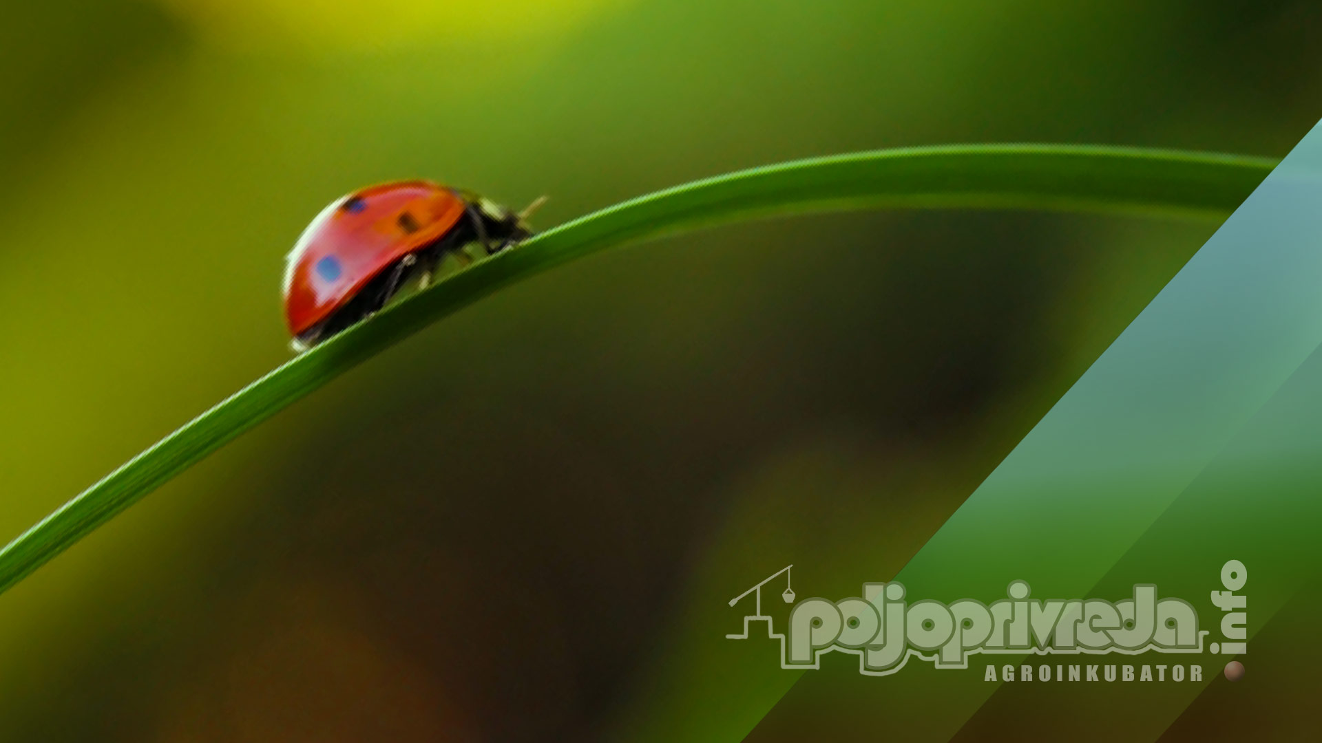 Poljoprivreda.info / Agroinkubator