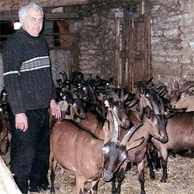 Farma koza za primer | Poljoprivreda.info / Magazin